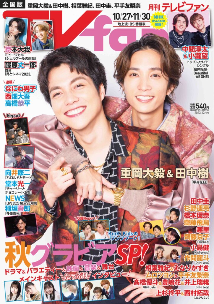 TVfan - メディアボーイ